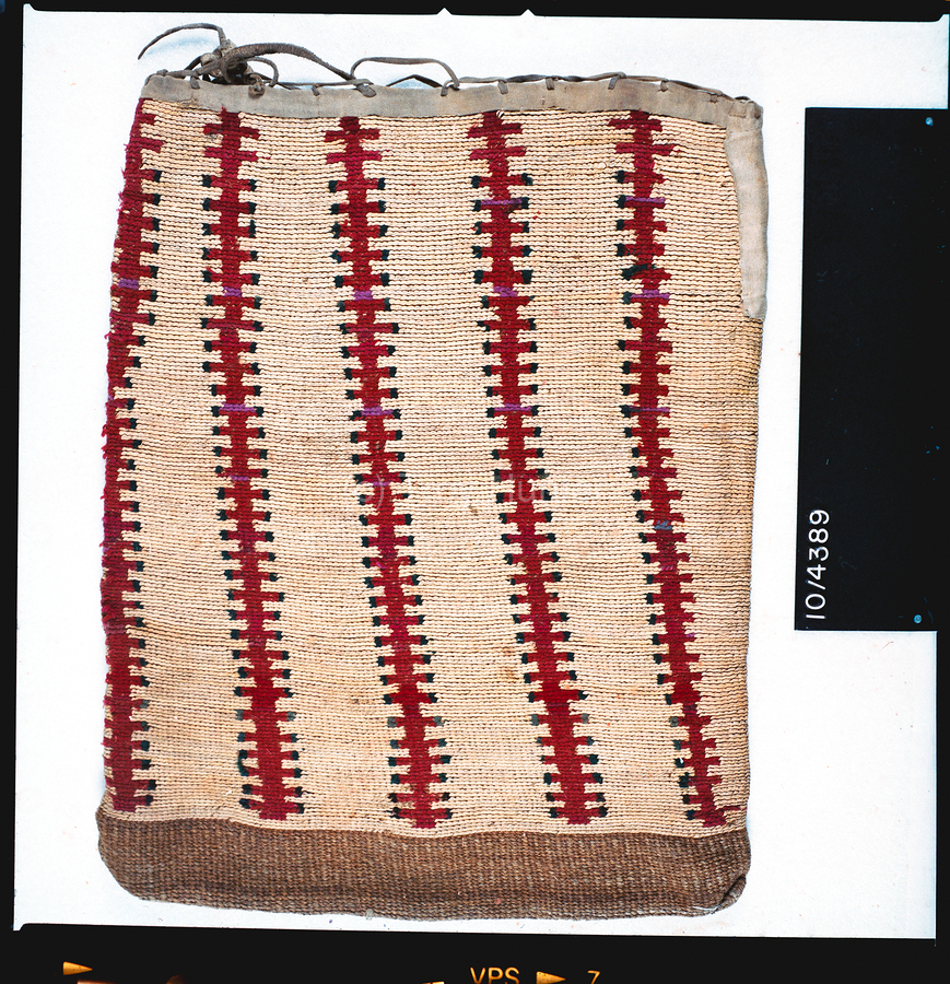 DSC 0567 Corn Husk Bag by Troy Hunter Wall Art