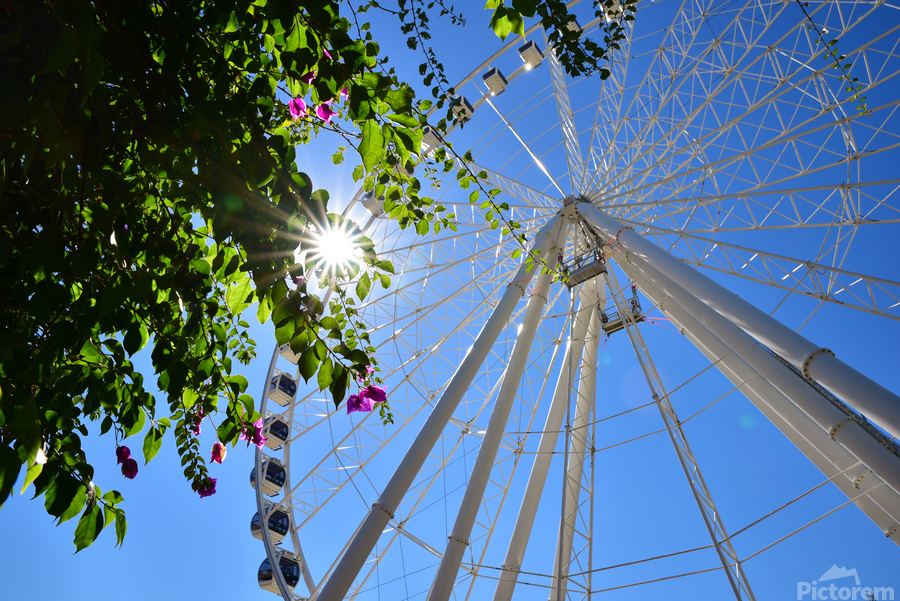 Wheel of Brisbane in Australia by Mo Wu Wall Art