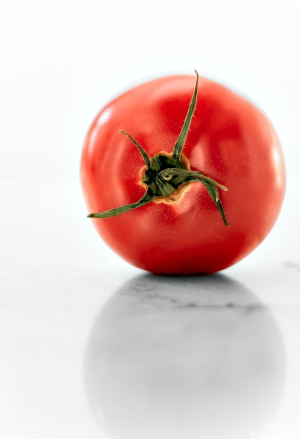 Tomate 1 by Marc Andre Laurin Wall Art