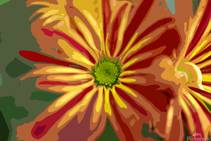 Red Yellow Daisy Poster by Ian Barr Wall Art