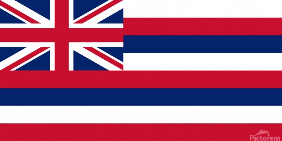 Hawaii State Flag by Fun With Flags Wall Art