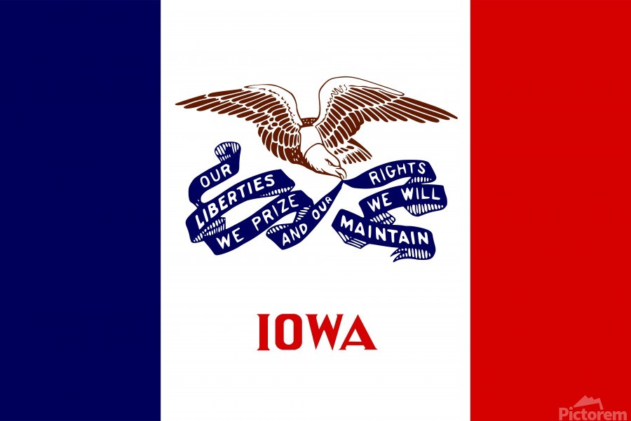 Iowa State Flag by Fun With Flags Wall Art