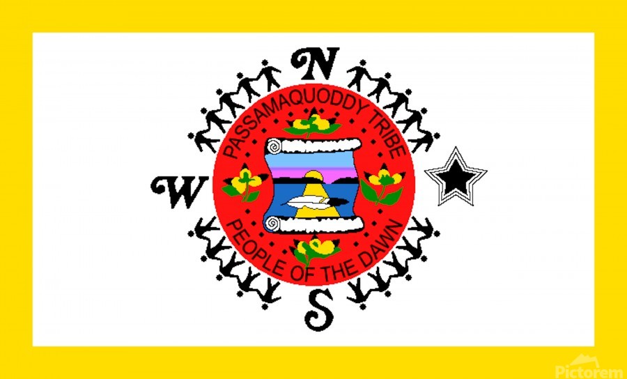 Passamaquoddy Tribe Flag by Fun With Flags Wall Art