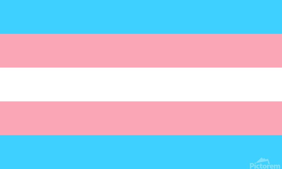 Transgender Pride Flag by Fun With Flags Wall Art