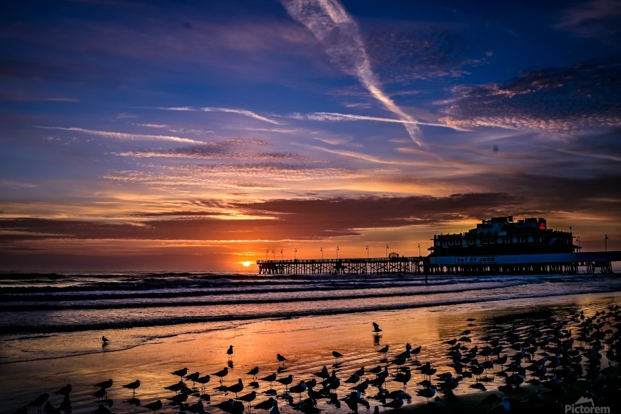 Sunrise in Florida by Ed St Germain Wall Art