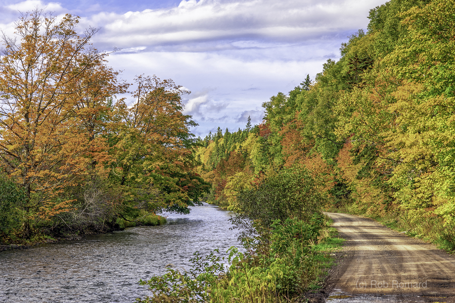 the River Road by Rob Romard Wall Art
