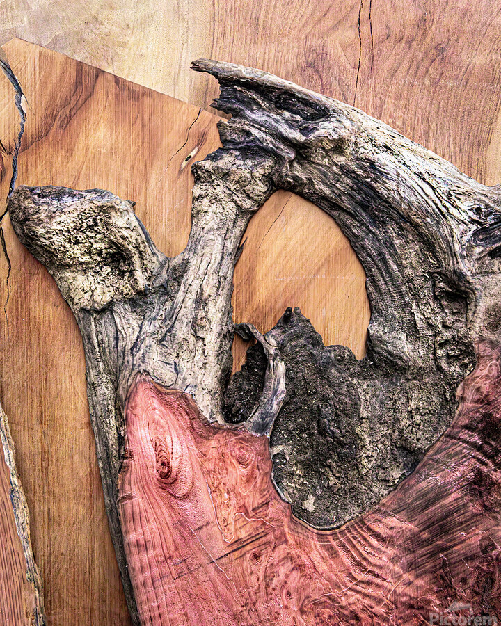 Texture by Alan Workman Fine Art Photography Wall Art