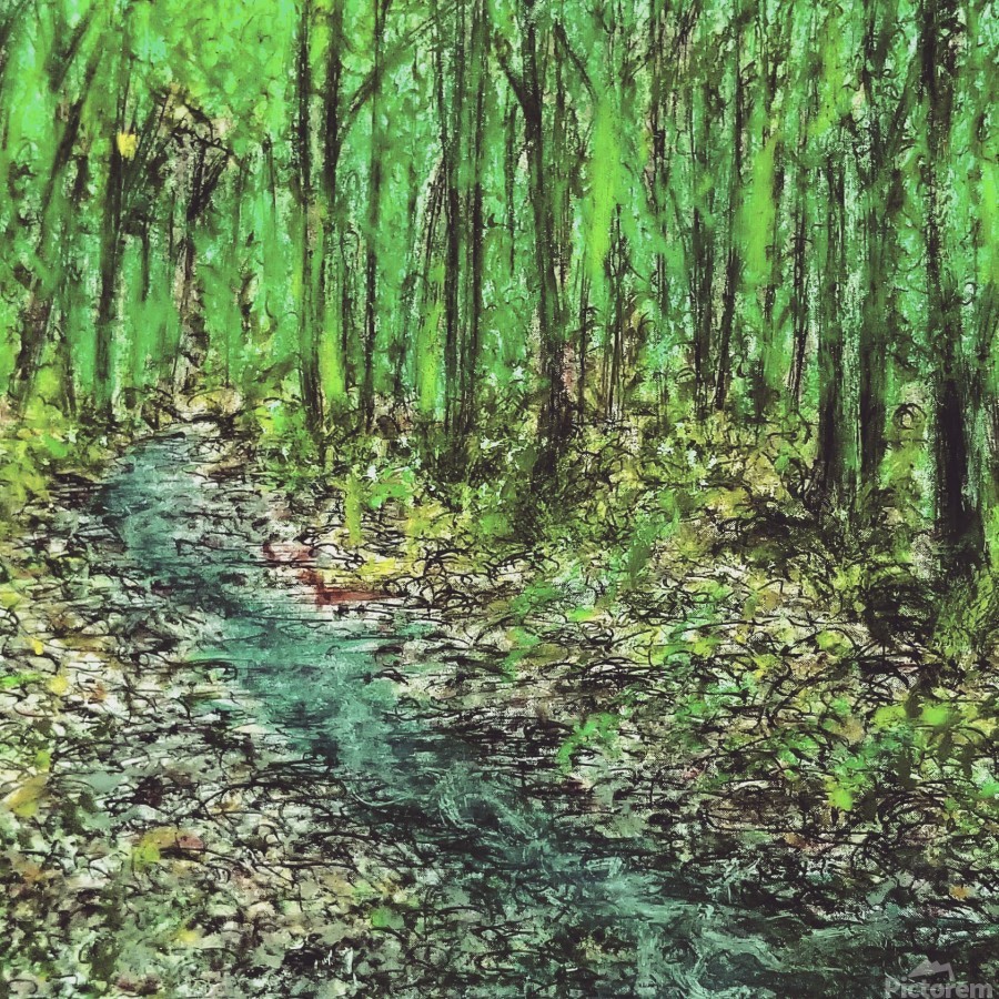 Trinkling Through The Forest by djjf Wall Art