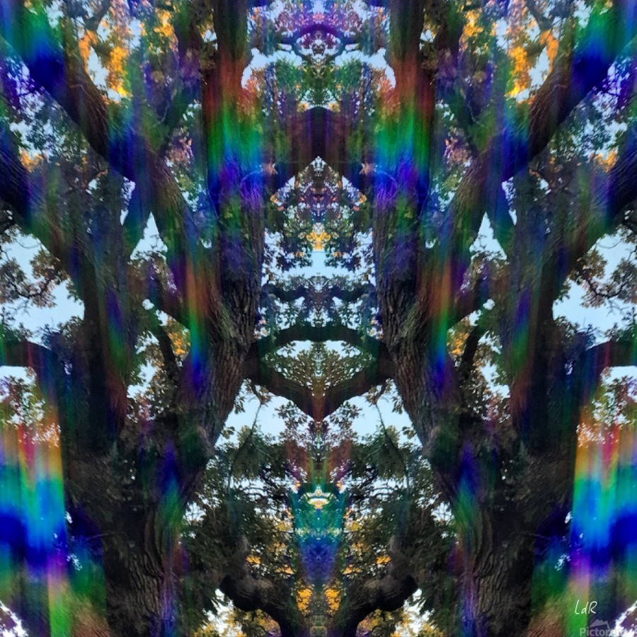 Tree Family by deRoy Multidimensional Photography Wall Art