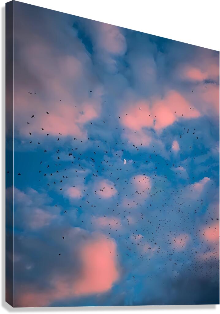 A natural view of the sky and clouds by Dr master Wall Art