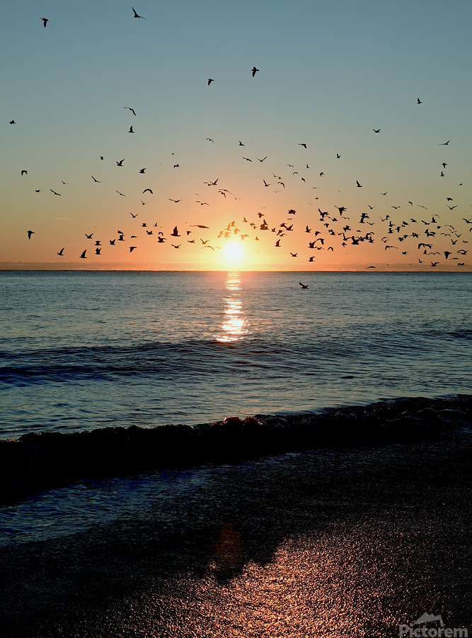 Atlantic Sunrise by Georgia Pavilonyte Trivett Wall Art