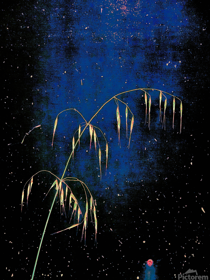 Weed Starry Night by KOMurphy Wall Art