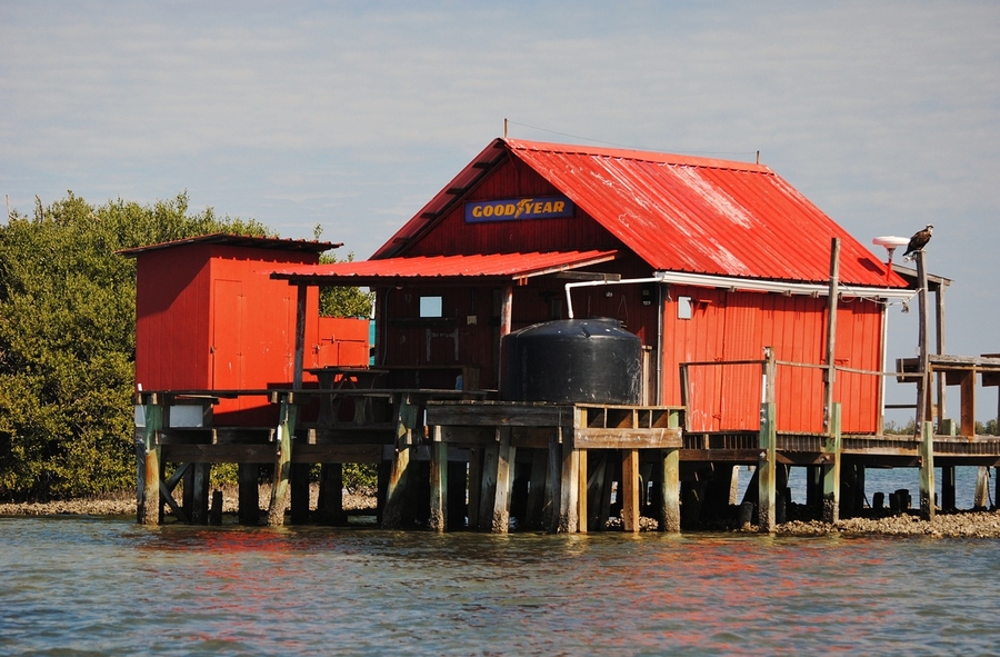 Red Fish Shack by Wildfly Photography Wall Art