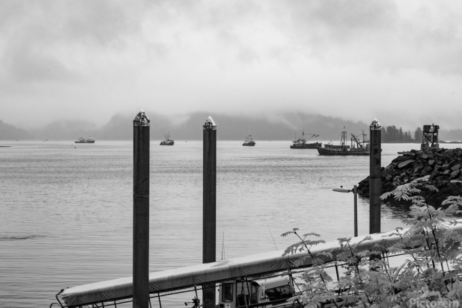 Sitka Bay in the Rain by Greg Starr Wall Art