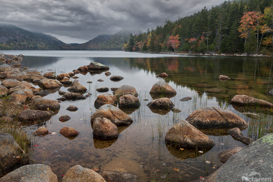 Park Pond by Images By Jon Evan Wall Art