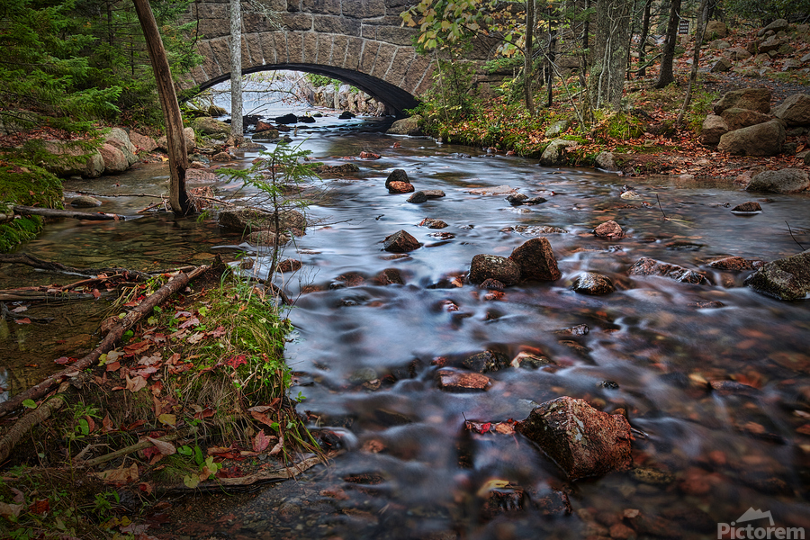 Acadia Park Stream by Images By Jon Evan Wall Art