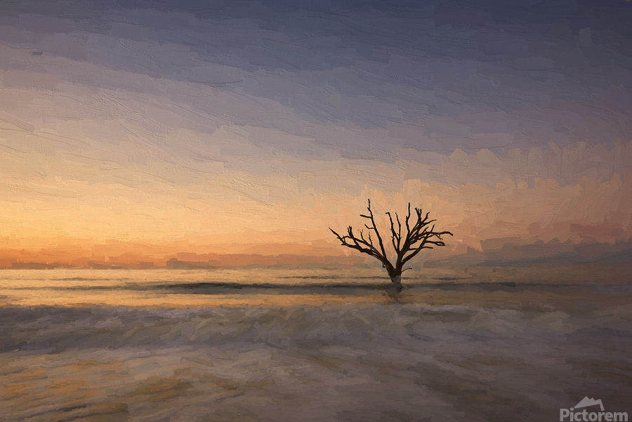 Botany Bay Tree by Images By Jon Evan Wall Art