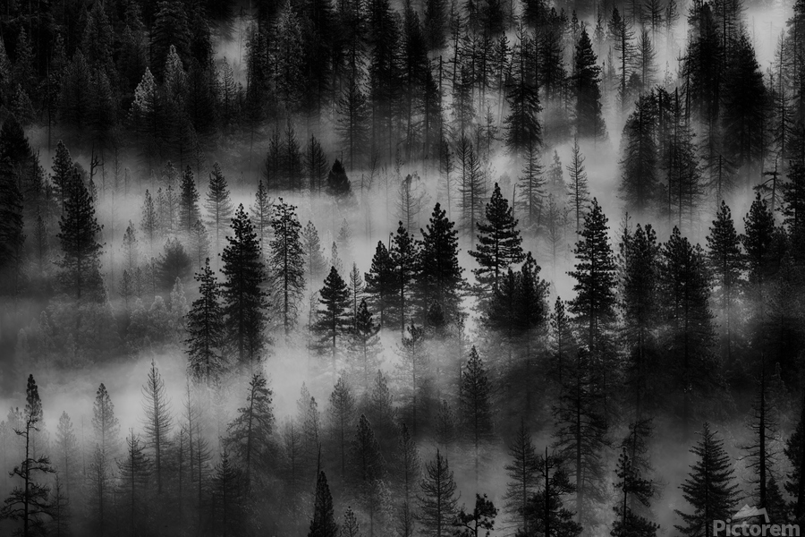 Mist in the Valley by Images By Jon Evan Wall Art