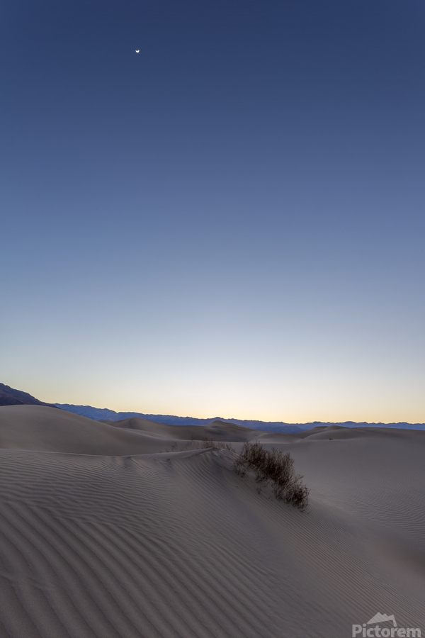 Moon in the Desert by Images By Jon Evan Wall Art