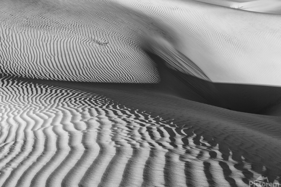 Torso by Images By Jon Evan Wall Art