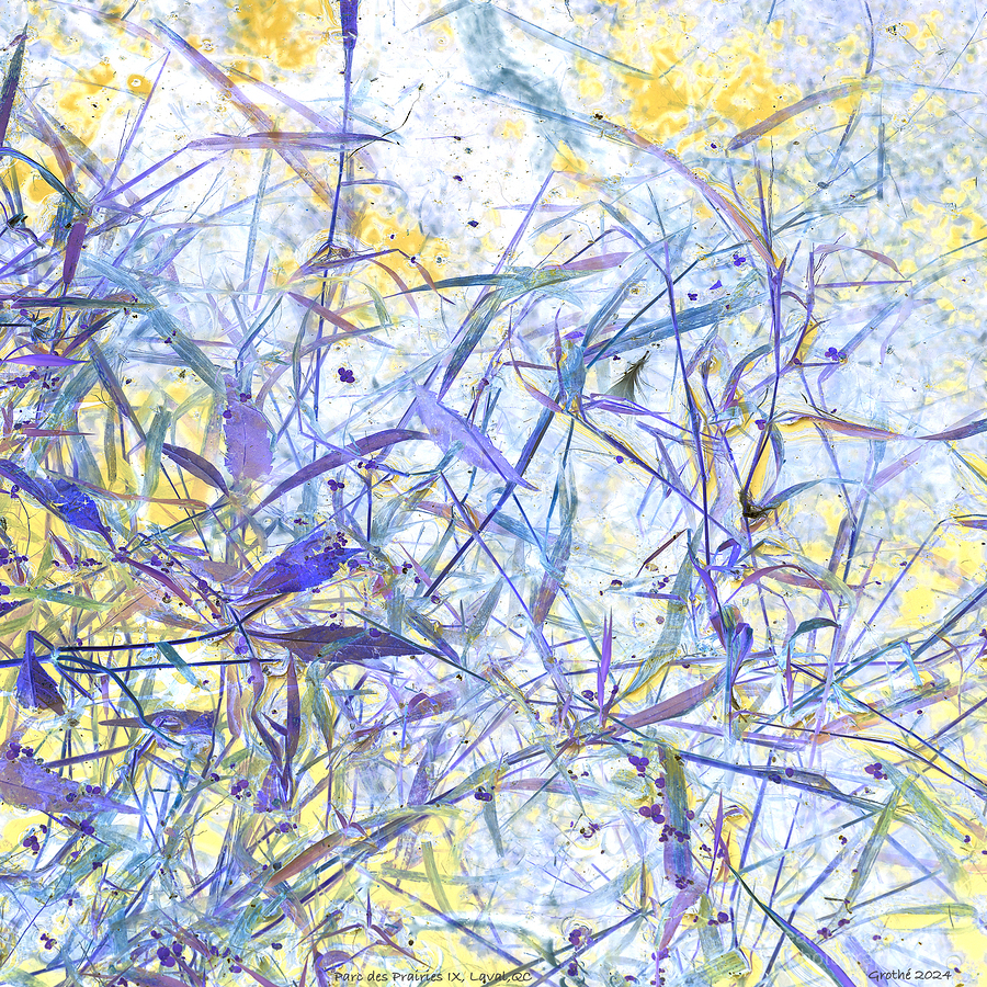Parc des Prairies IX Laval QC 2024 by Jean Grothe artiste photographe ...