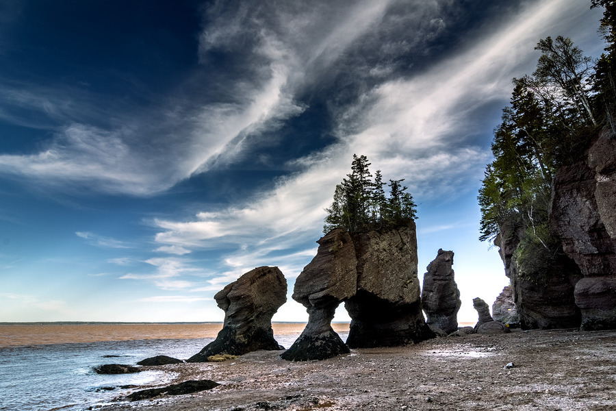 Hopewell Rocks Provincial Park by Olena Ivanova Wall Art