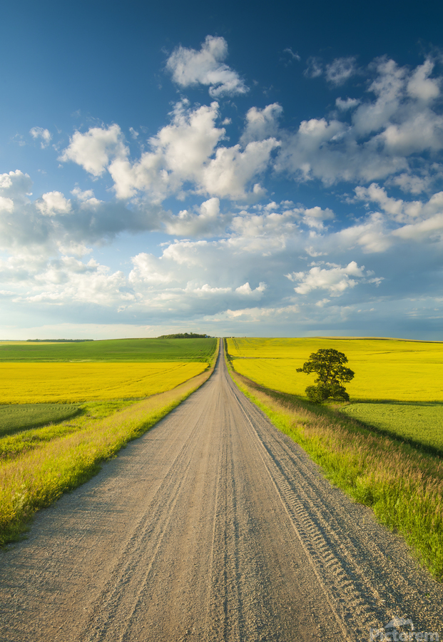 DR 12645 by Dave Reede Photohgraphy Wall Art