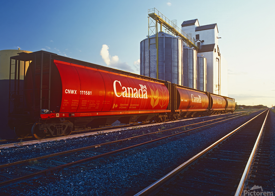 Waiting to Load by Dave Reede Photohgraphy Wall Art