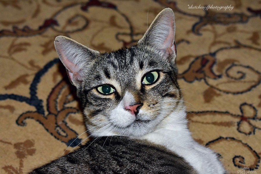 Smiley Tiny by Eric and Pam Schmidt Wall Art