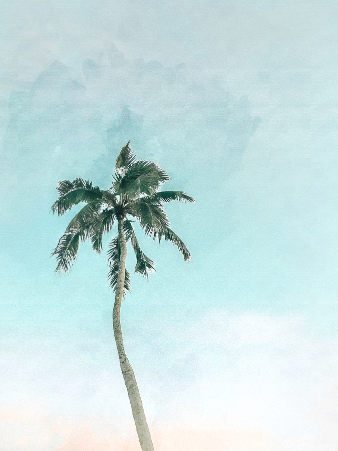 PALM TREE Watercolor print by Surf Posters Wall Art