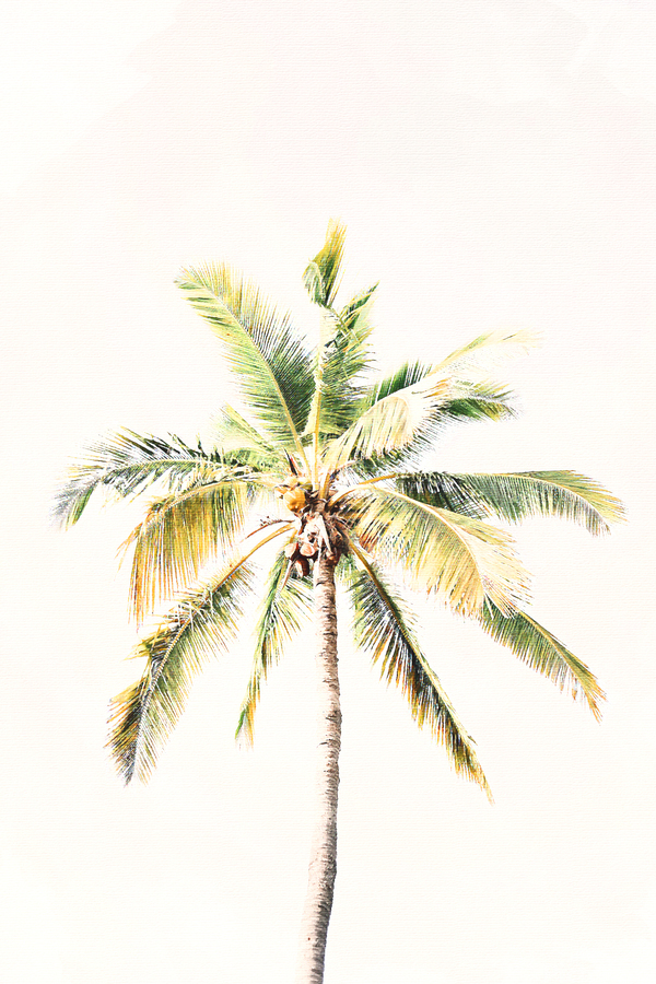 PALM TREE Watercolor Print by Surf Posters Wall Art