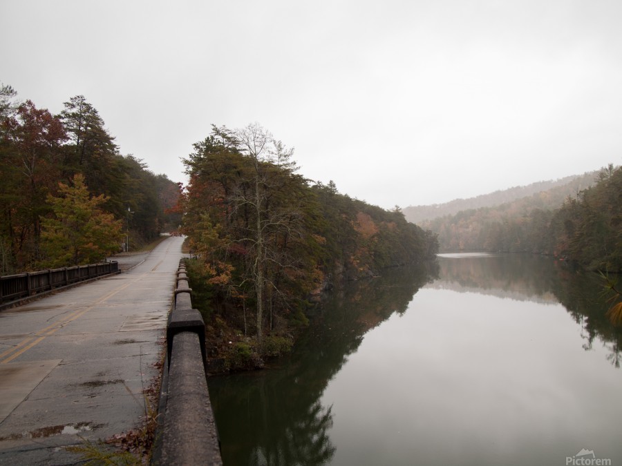 Divergent Paths by Wingo Wall Art