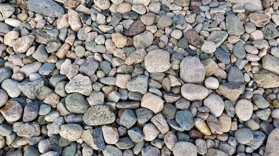 Pebbles by Janice Burrows Wall Art