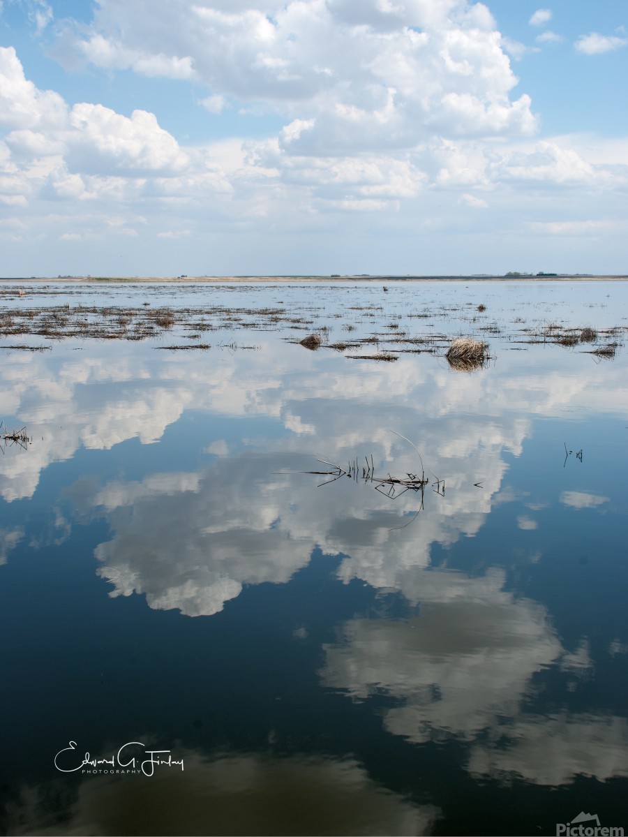 Summer Reflections by Edward Finlay Wall Art