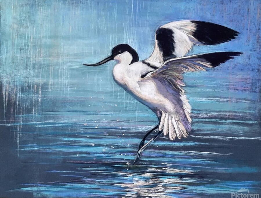 scale off by wing. by WATTY Wall Art