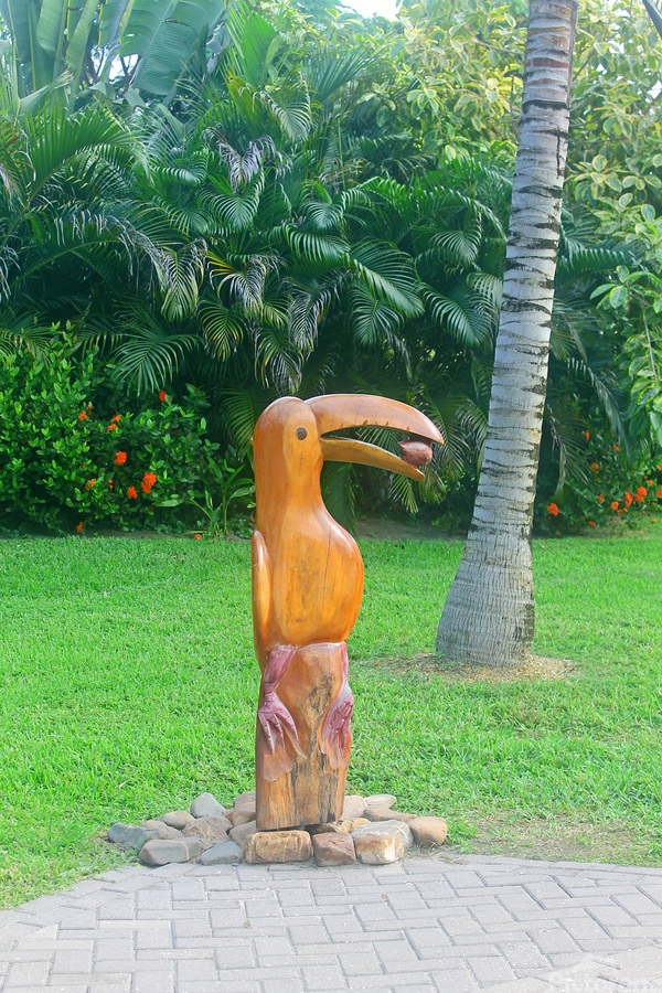 Toucan Statue in Belize by Gods Eye Candy Wall Art