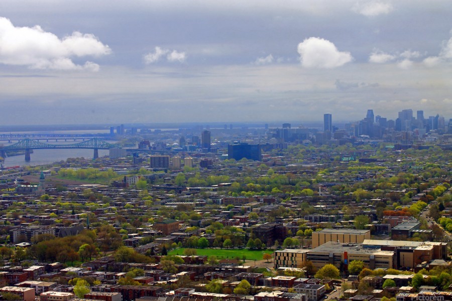 Scattered Buildings by Gods Eye Candy Wall Art