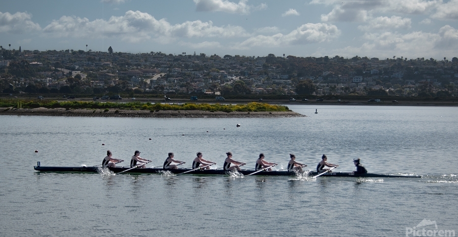 Rowing by Robert Campbell Wall Art