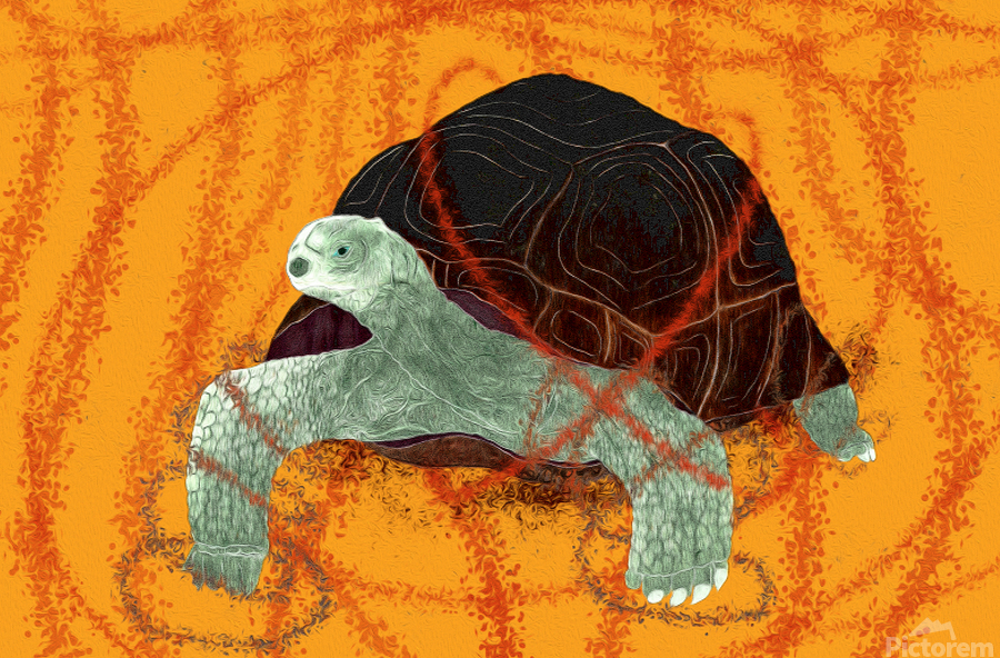 Assembling the armor of life by Kob Wall Art