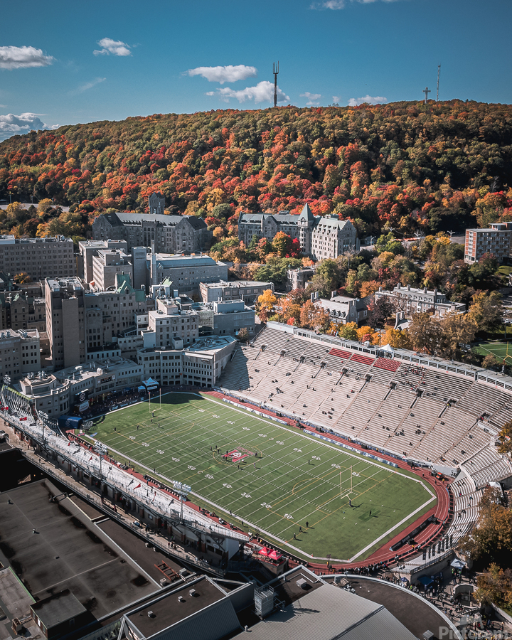 Percivial-Molson Stadium by Dominic Cholette Wall Art