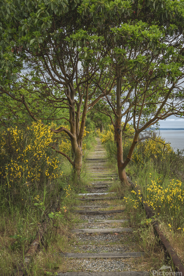 Reclaimed by Mother Nature by Louis Ruth Photography Wall Art