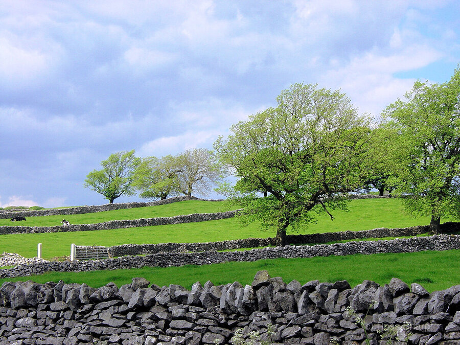 Dry stone walls Peak District National Park by Ross Sharp Wall Art
