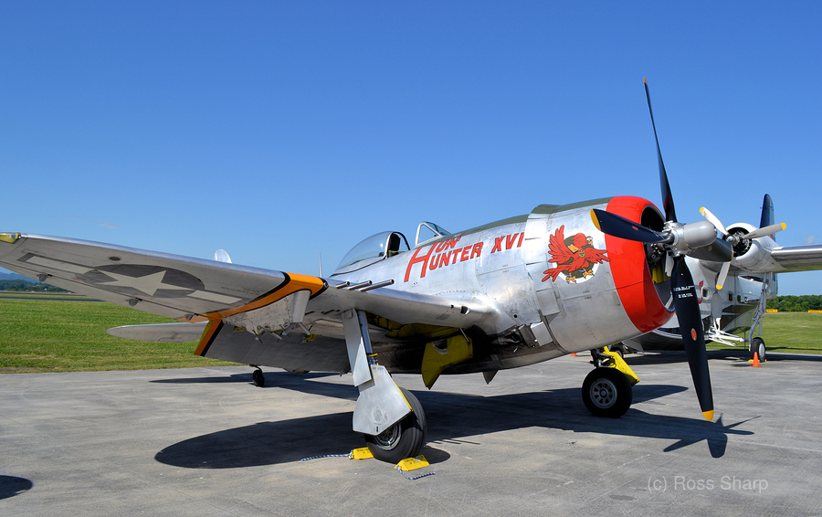 P-47D Hun Hunter XVI nose by Ross Sharp Wall Art