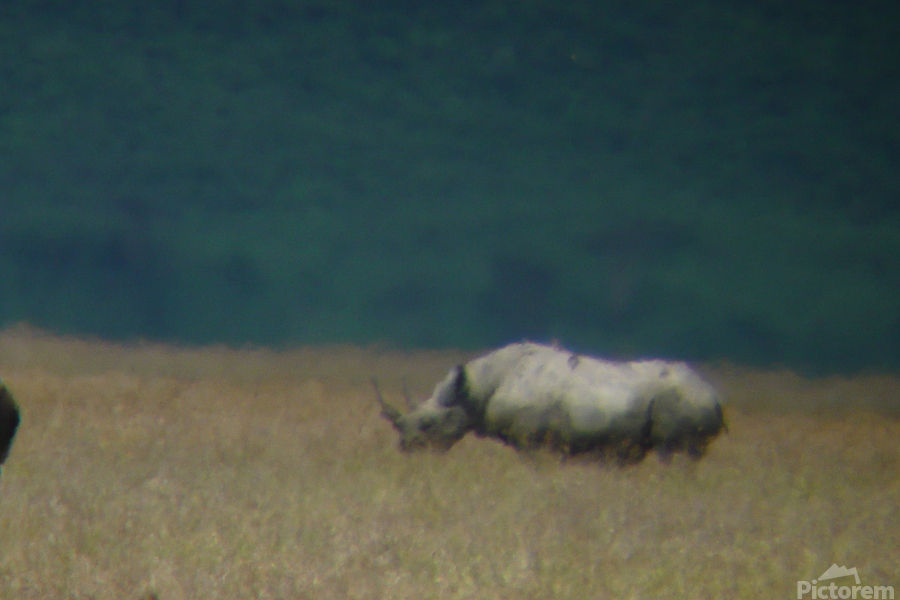 JPT MC 1 by James Cooke Wall Art