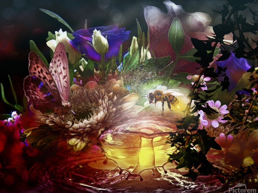 The garden by Elizabeth Berry Wall Art
