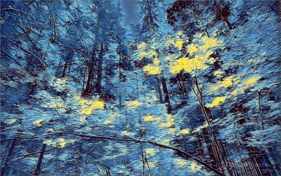 Vancouver Lynn Cannon by Tropical Freeze Wall Art