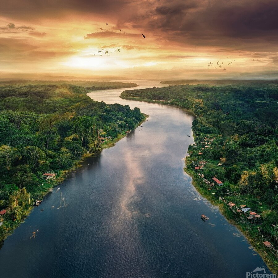 a stunning aerial view of the mighty amazon river by Hisclouds Wall Art