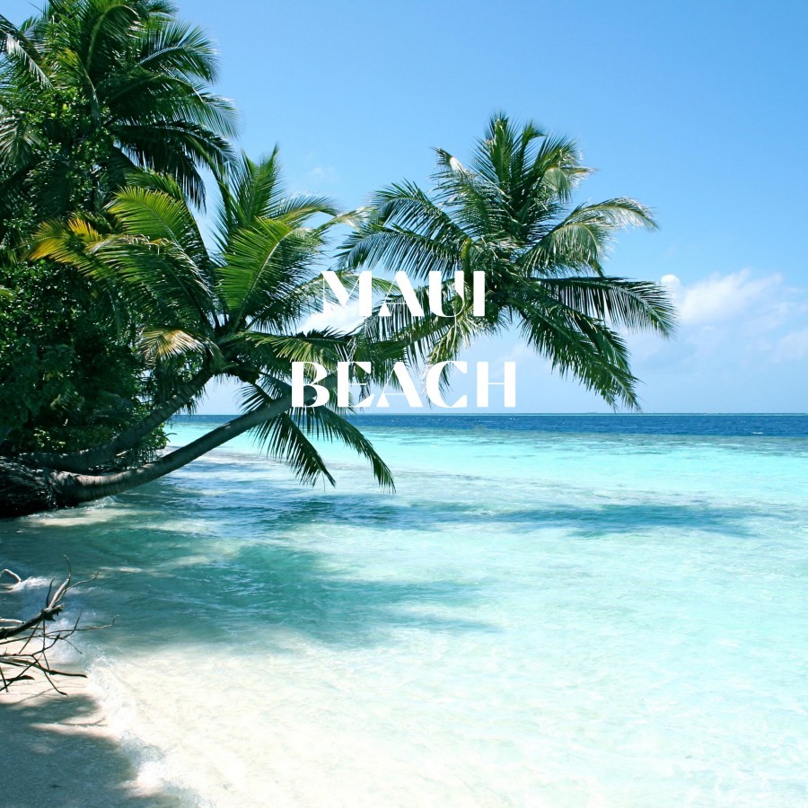 MAUI BEACH by ALL ABOUT YOU ART Wall Art