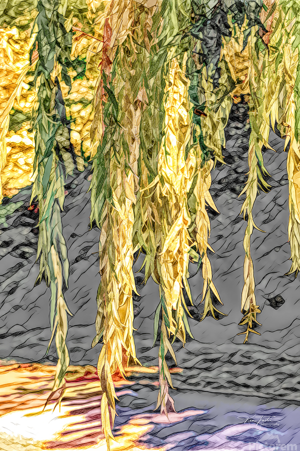 Tall Willow Mourns by KenFoster Photography Wall Art