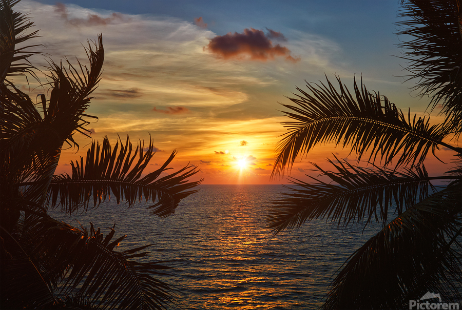 Ocean sunset visible through palm leaves by Dmitry Rukhlenko Wall Art